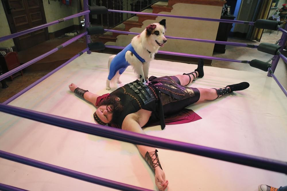 DAVID MATTEY – Celeb Secrets