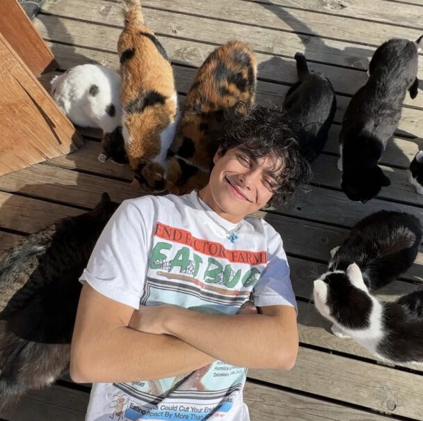 Meet Benjamin De Almeida: The Multi-Hyphenate Powerhouse Making Waves ...